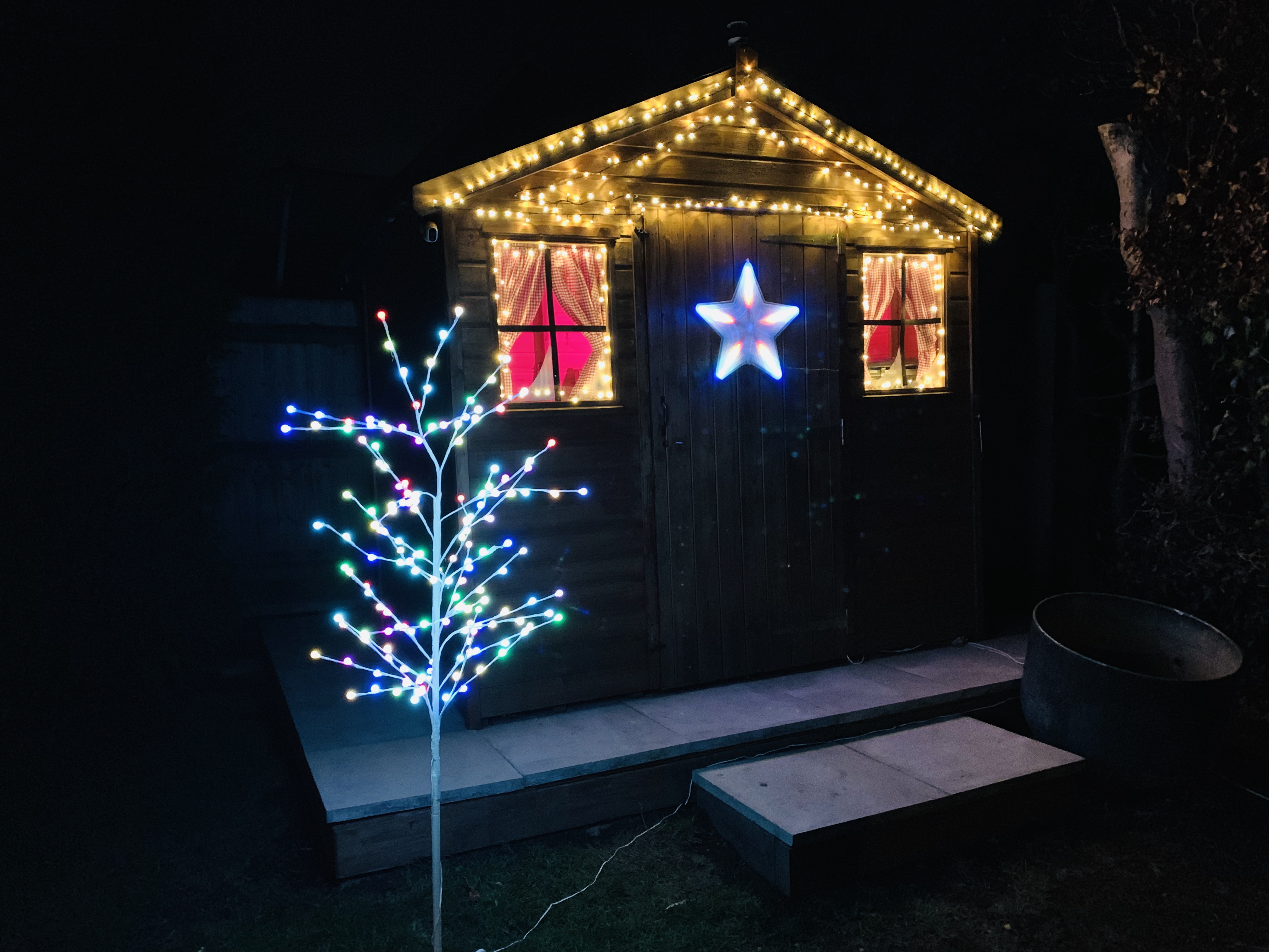 🎄 Christmas trees 🎄 - O2 Community