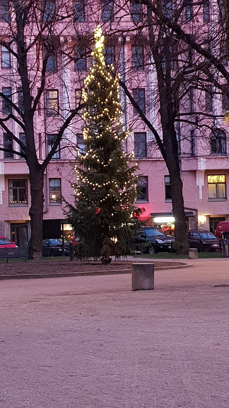 🎄 Christmas trees 🎄 - O2 Community