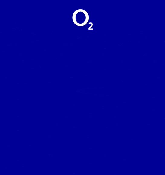 Experience the best on O2 all in one plan - Ultima... - O2 Community